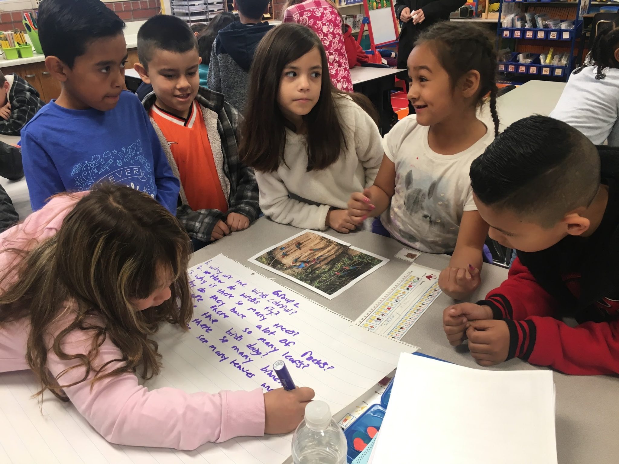 Quick Guide To Using The Question Formulation Technique Right Question Institute